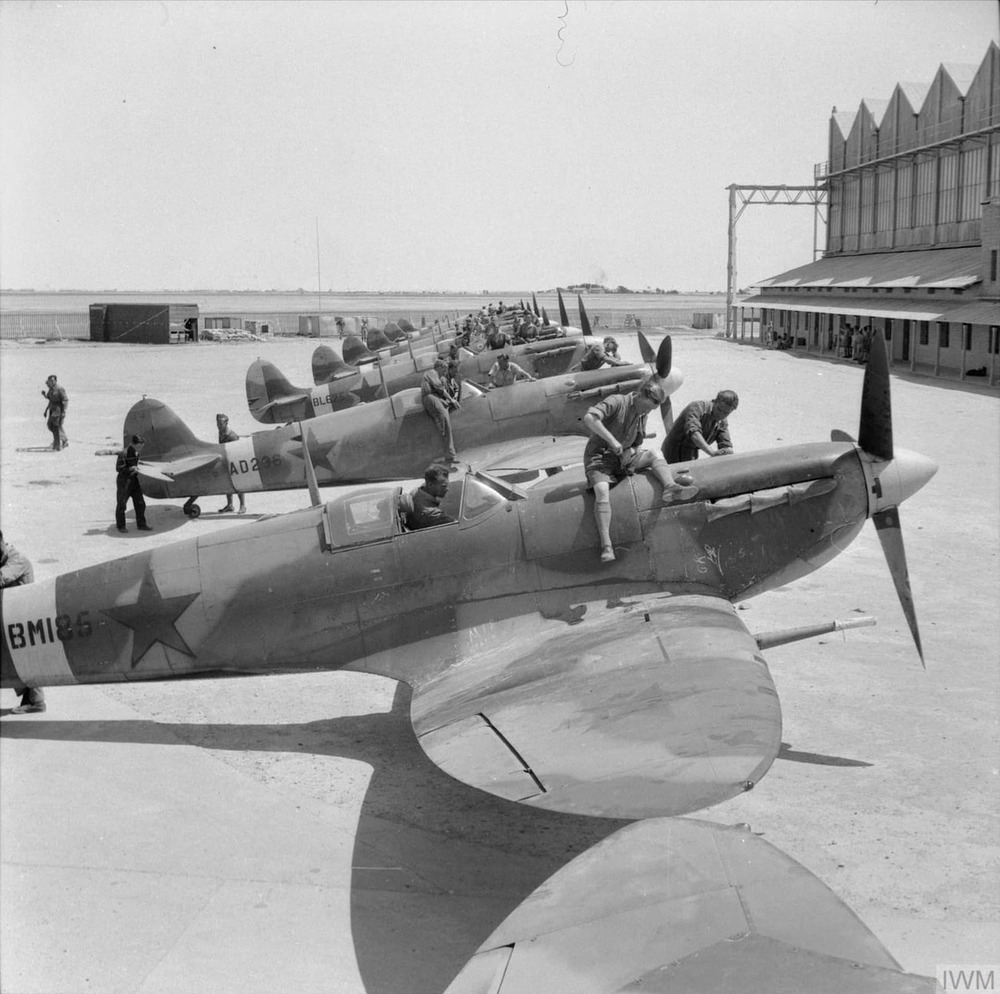 Spitfire Mk.5b - Soviet Supermarine - Aircraft - War Thunder — official ...