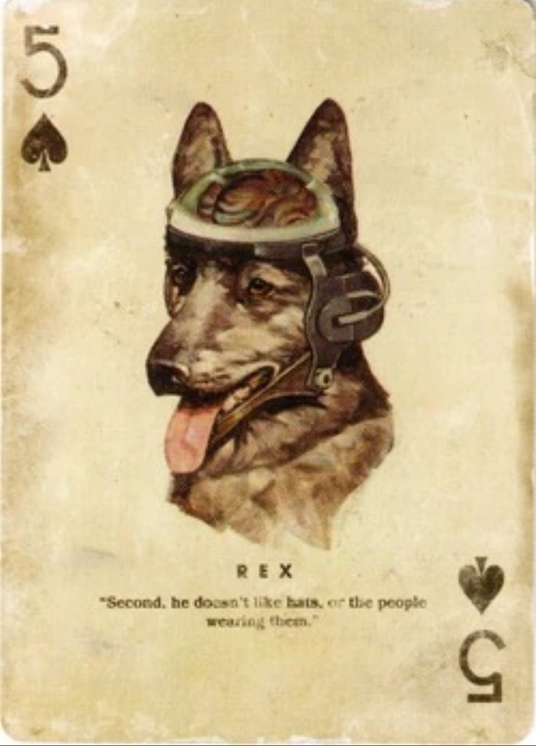 Off Topic Discussion - #5014 by Zyranovos - General Discussion - War Thunder — official forum