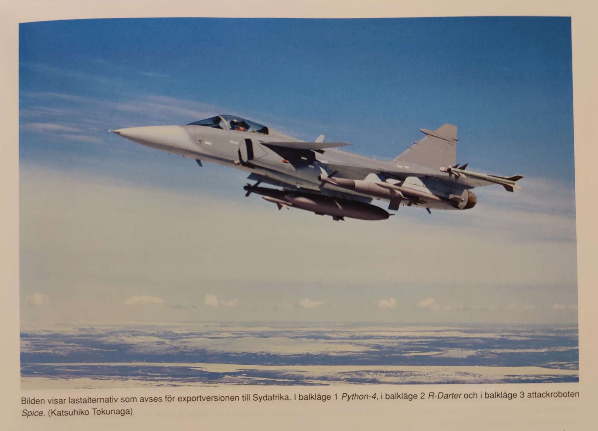 SAAF JAS-39C Technical Data and Discussion - #2488 by Panther2995 ...