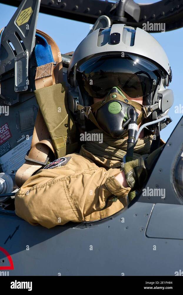 French Pilot Model for Modern Aircraft - Passed - War Thunder — official forum