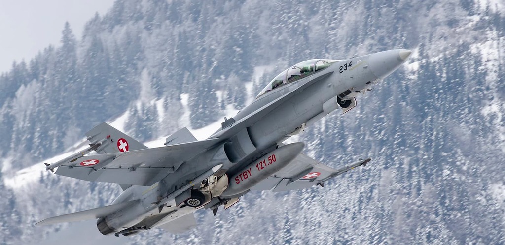 McDonnell Douglas F/A-18D - The Knife of the Swiss Air Force: Part 3 ...