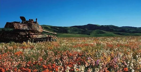 Dynamic Grass & Flowers System - Graphics/Sounds - War Thunder ...